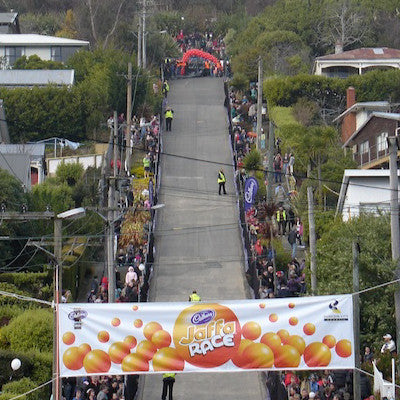 Custom Flag Pole Flags, Feather Banners & Printed Flags NZ - Adams ...